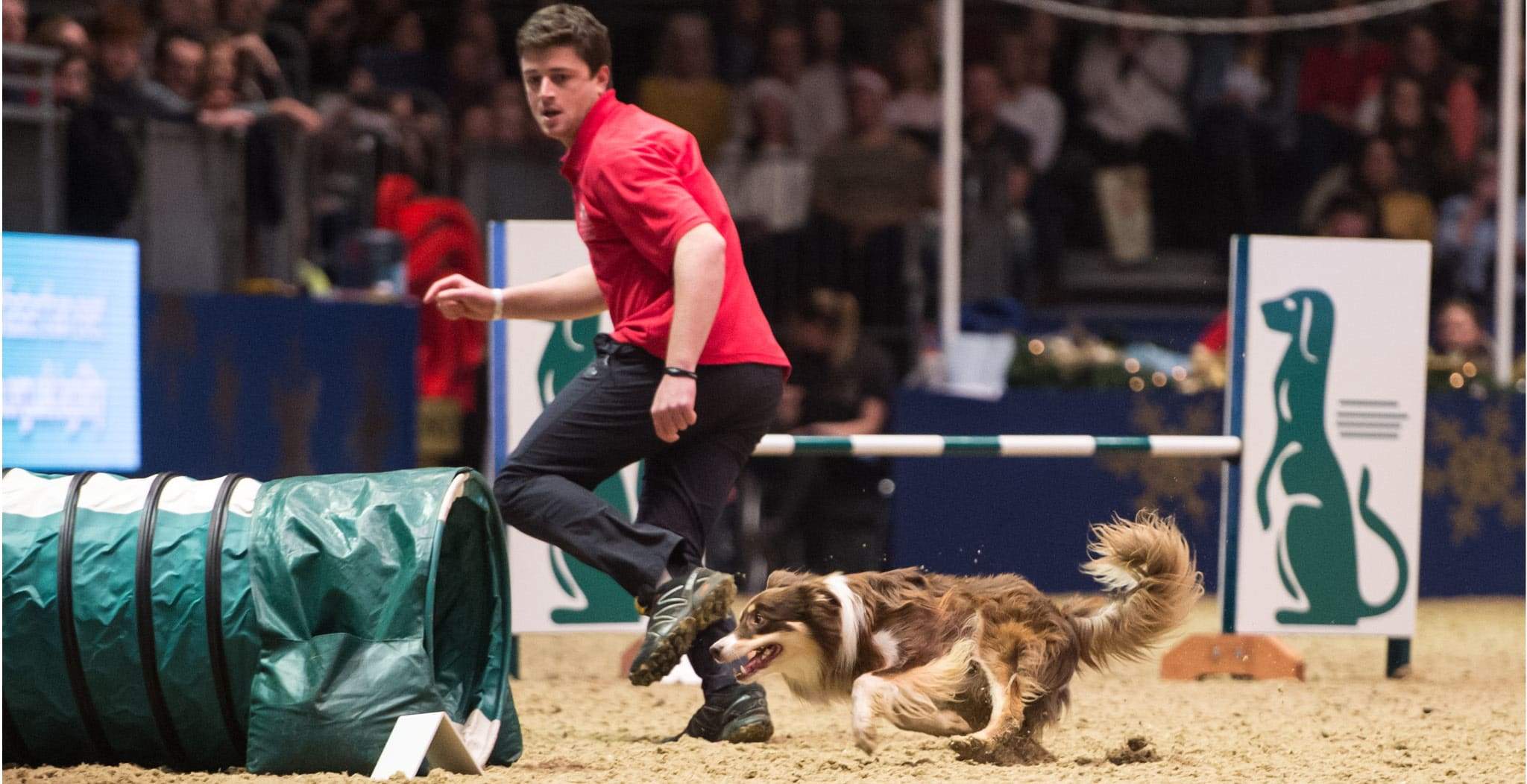 Anthony Clarke | Professional Agility Handler, Coach & Judge – StreamZ ...
